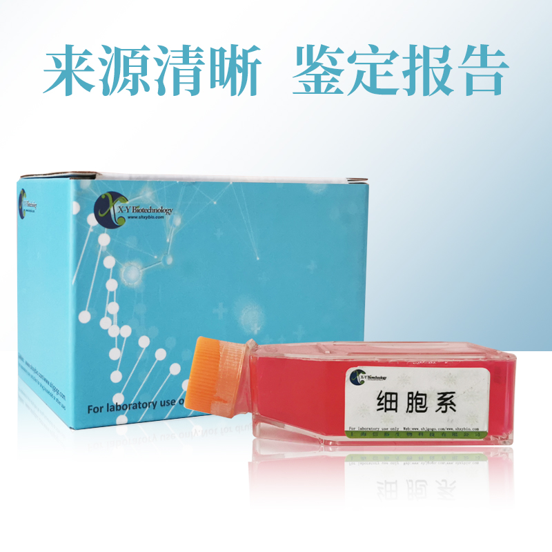 A549-LUC-GFP/人非小细胞肺癌细胞-绿色荧光蛋白-荧光素酶标记 XY-H012LG - 上海信裕生物 - 信裕生物-试剂盒,ELISA试剂盒, 检测试剂盒,抗体,细胞系,原代细胞 ...