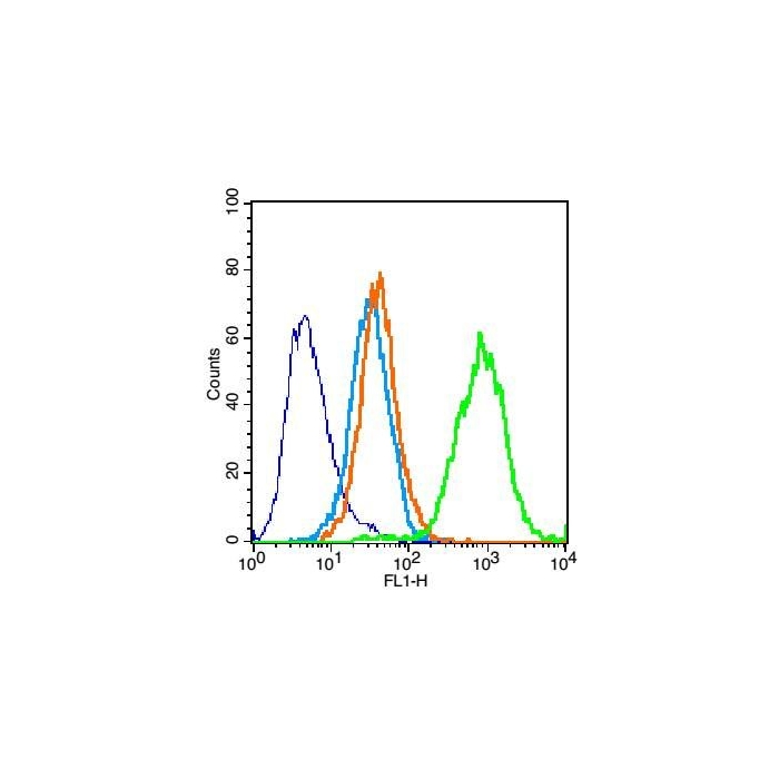 Anti-CD31 antibody (bs-20320R) - 上海信裕生物 - 信裕生物-试剂盒,ELISA试剂盒, 检测试剂盒,抗体 ...