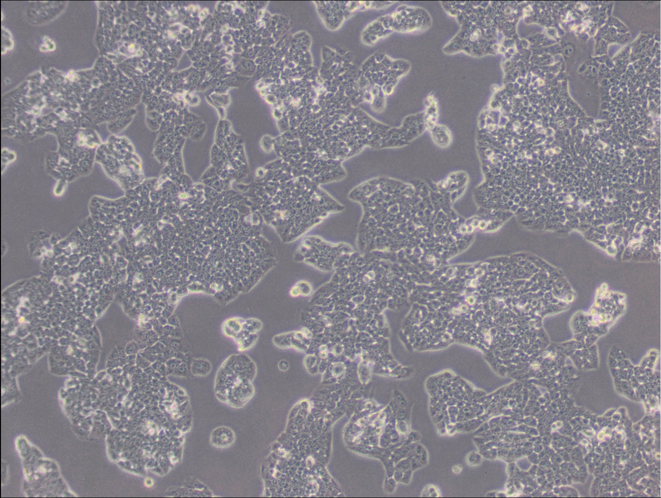 开云·kaiyun(中国)官方网站