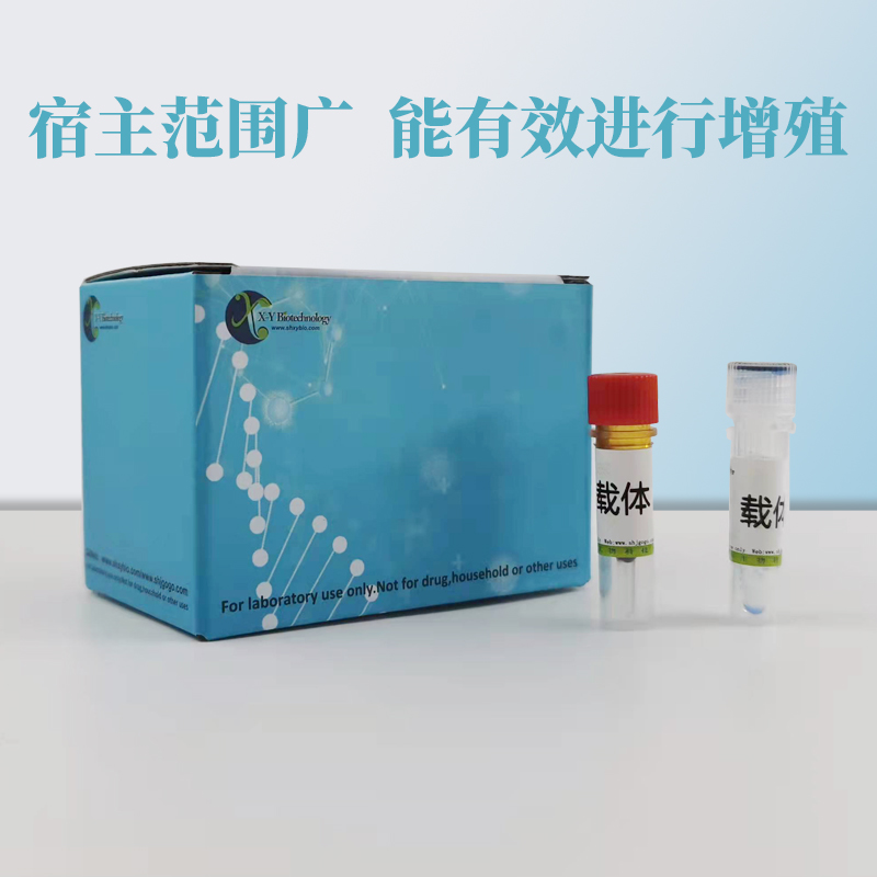 pGR106 载体 XY91865VT - 上海信裕生物 - 信裕生物-试剂盒,ELISA试剂盒, 检测试剂盒,抗体,细胞系,原代细胞 ...