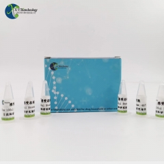 ET12567/pUZ8002 感受态细胞 XY91036CC - 上海信裕生物 - 信裕生物-试剂盒,ELISA试剂盒, 检测试剂盒,抗体 ...