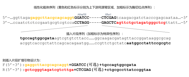 Uniclone One Step Seamless Cloning Kit XY9712K - 上海信裕生物 - 信裕生物-试剂盒 ...